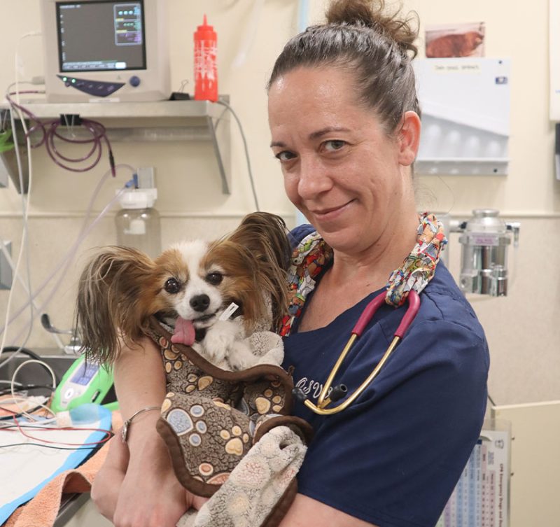 Internal Medicine | Veterinarian in East Greenwich | OSVS