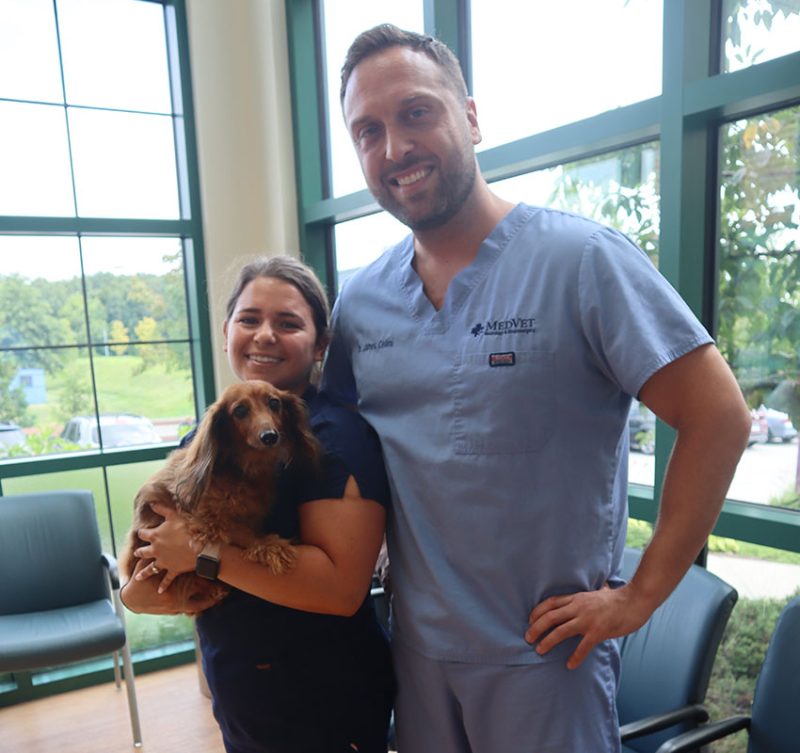 Neurology | 24 Hour Veterinarian in East Greenwich | OSVS